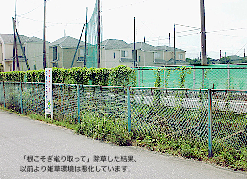 暮らし/雑草-36 雑草が「早春にて候」と...: 頑固な隠居老人の暮らしと雑感